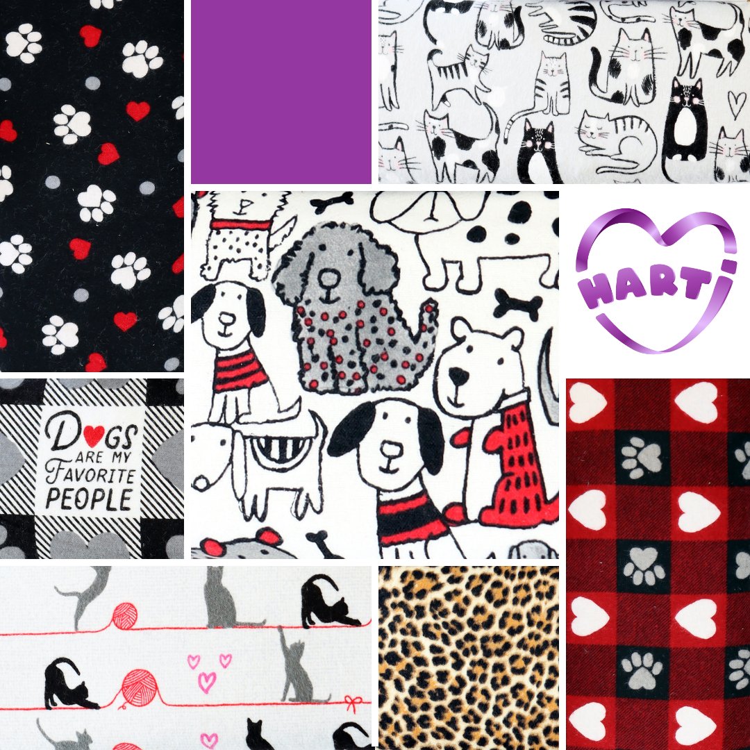 Collections – Harti
